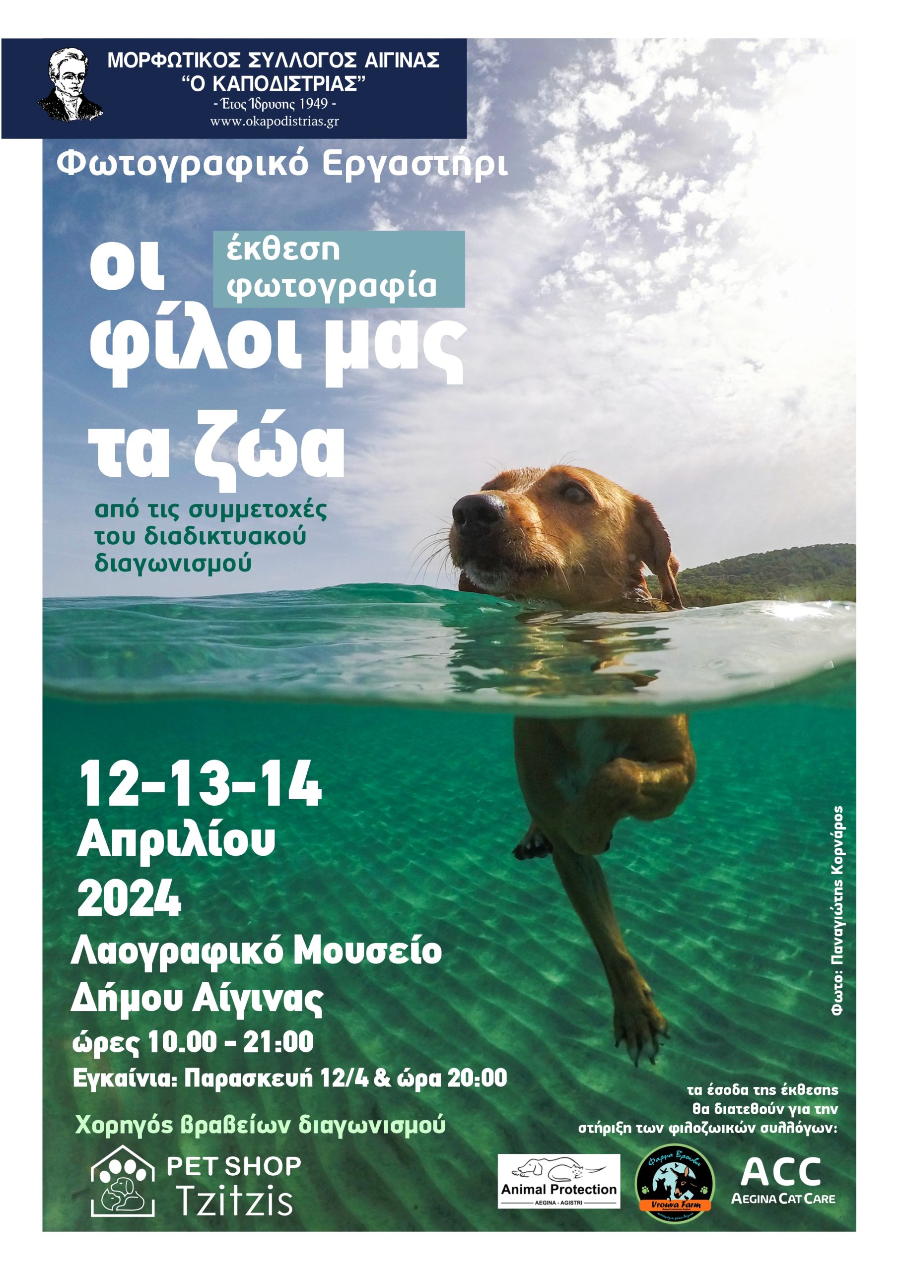 Μορφωτικός Σύλλογος "Ο Καποδίστριας" : Έκθεση φωτογραφίας ''οι Φίλοι ...